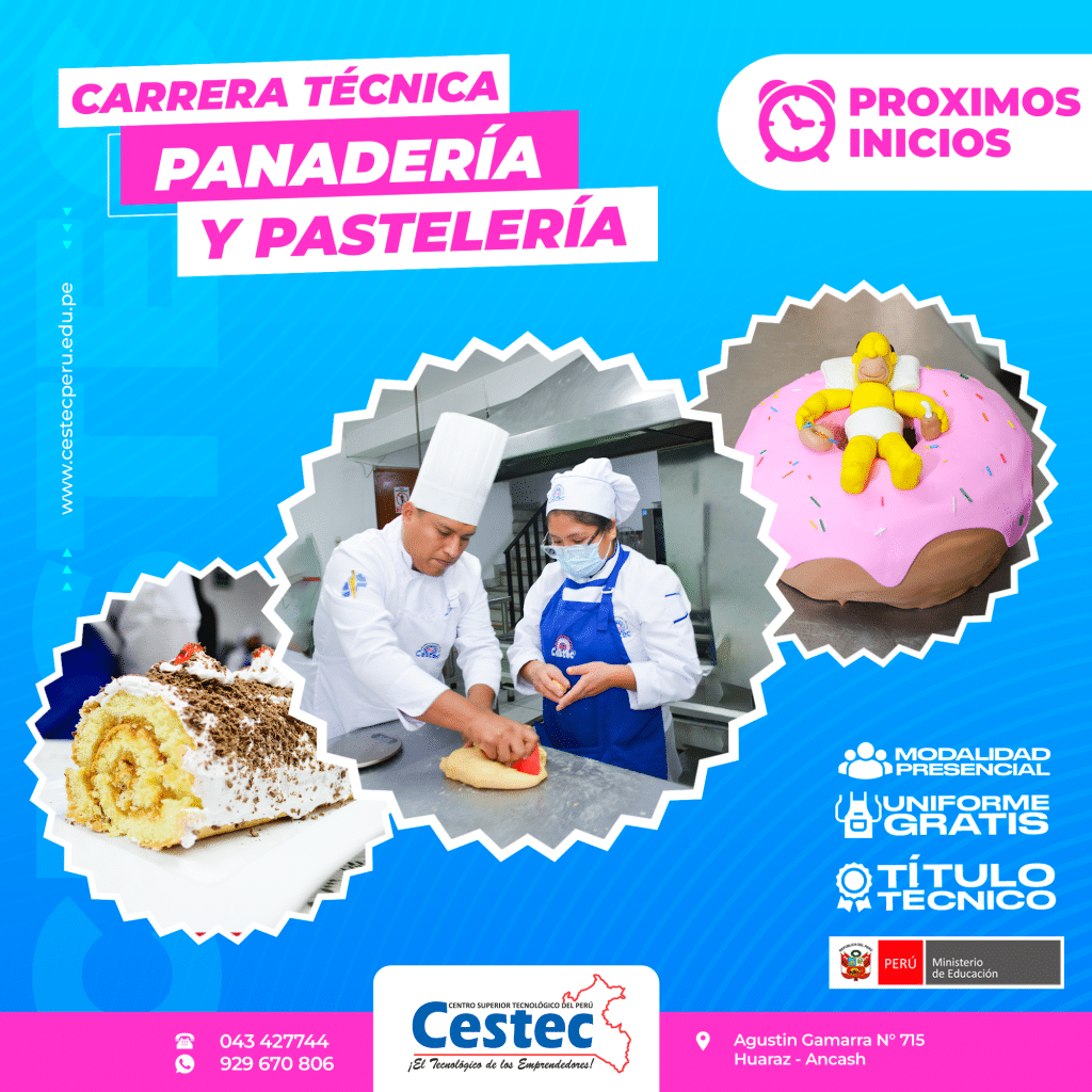 Nuestros Programas – Cestec Peru